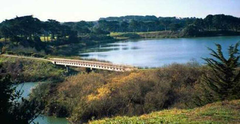 Lake Merced: The Freshwater Lake of San Francisco: What is Lake Merced ...