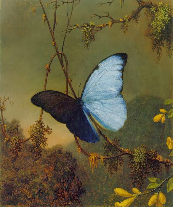 Martin Johnson Heade | Prolific Painter | 1819-1904
