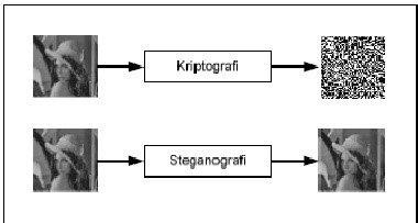 Perbedaan Antara Steganografi, Watermaking, dan Kriptografi