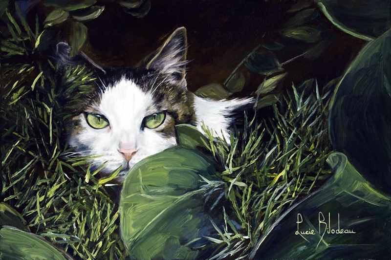Lucie Bilodeau, 1967 | Wildlife painter | Tutt'Art@ | Pittura ...