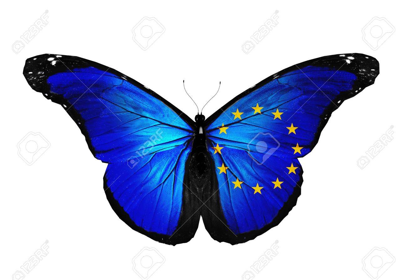 Heraldry of Life: E - World Butterfly - ART with flag of states