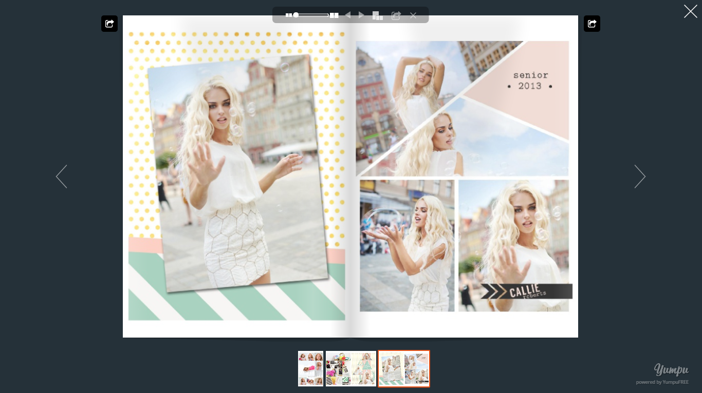 DLOLLEYS HELP: Creating a Photo Flip Book for Your Site or Blog