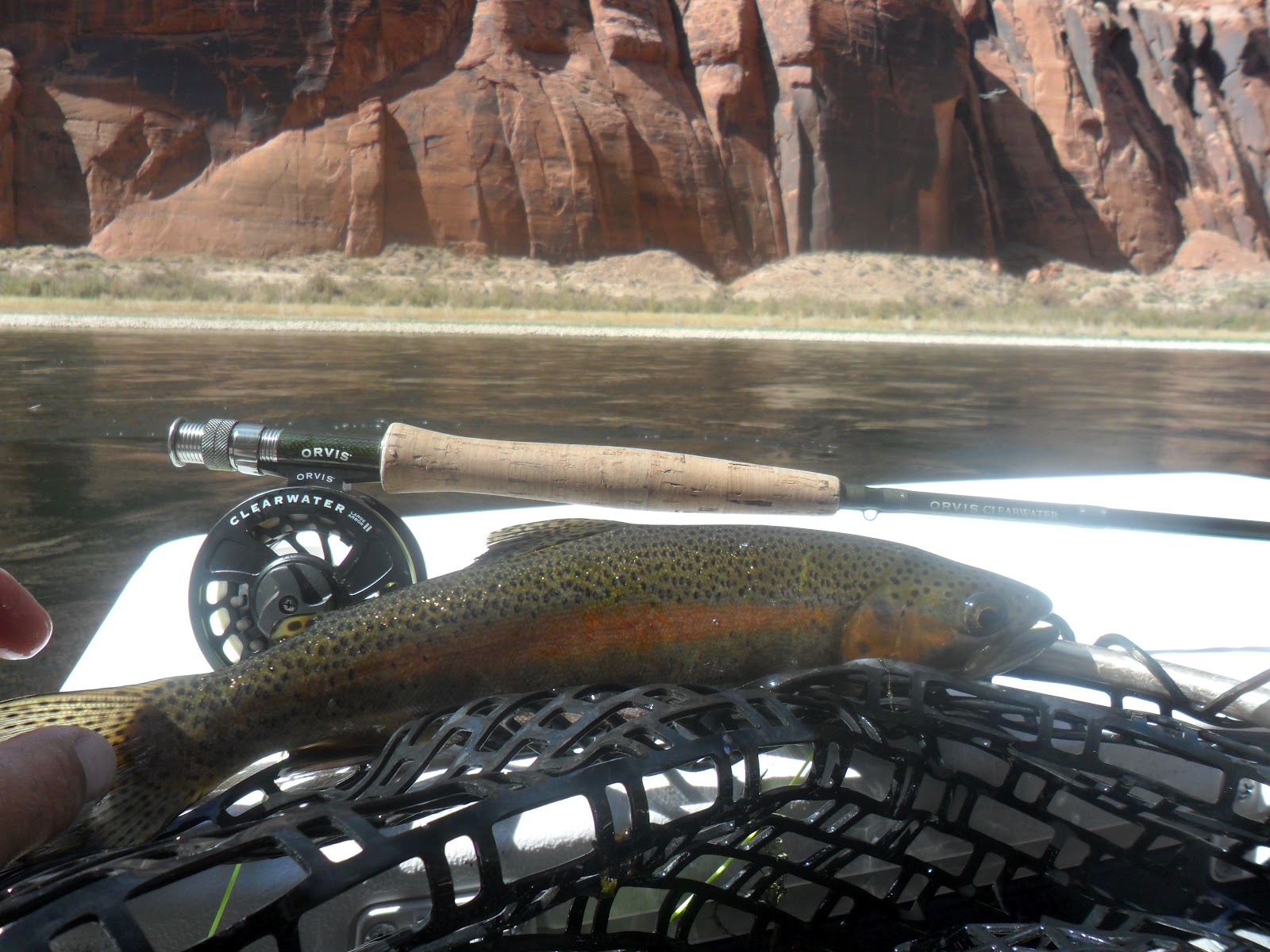 Lees Ferry Fishing Report - Lees Ferry AZ: Just Get It in the Water