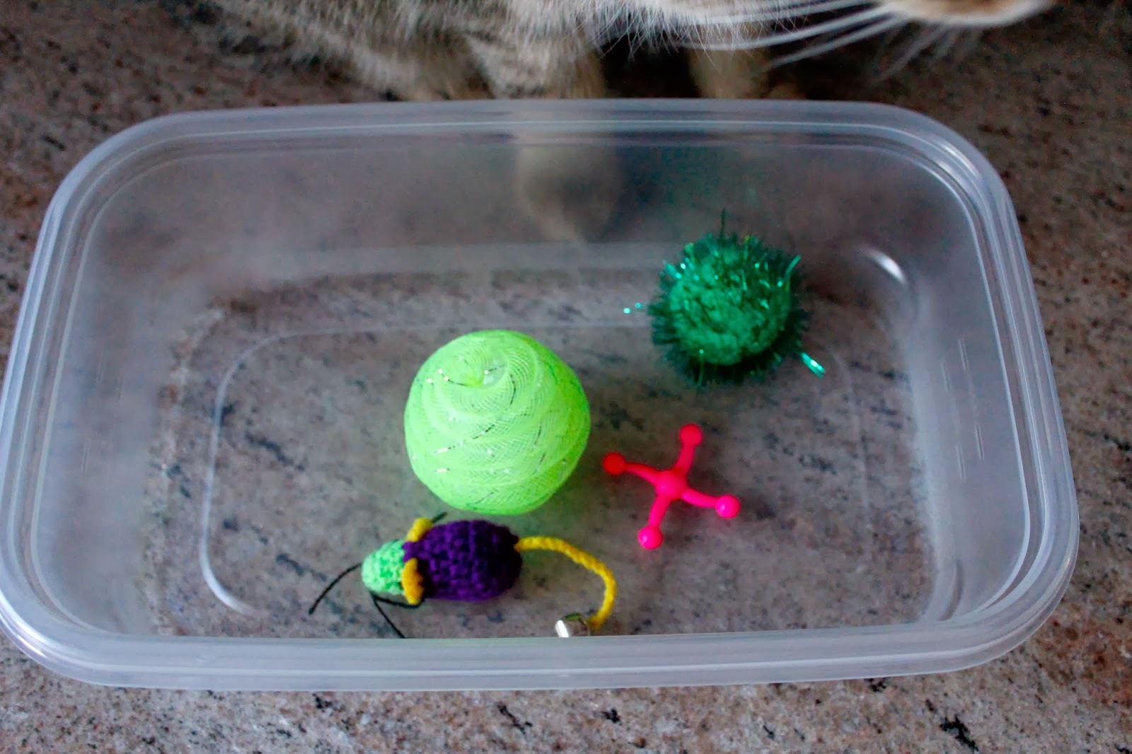 The Glam Cat: DIY Cat Puzzle Tutorial