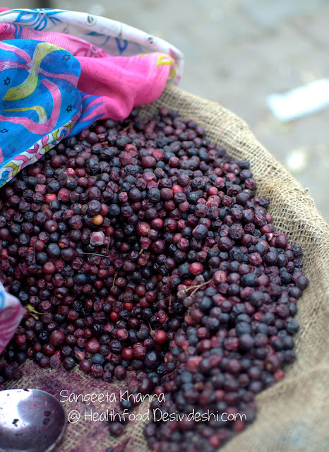 phalsa or falsa (Grewia asiatica), the deep purple summer stone fruit ...