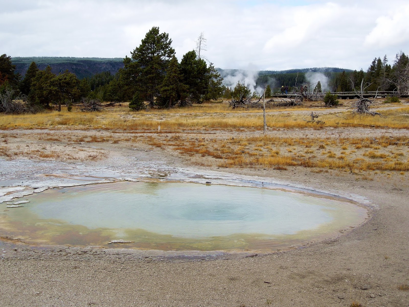 Focusing On Travel : Yellowstone: A Geyser Gazers Guide to the Upper ...