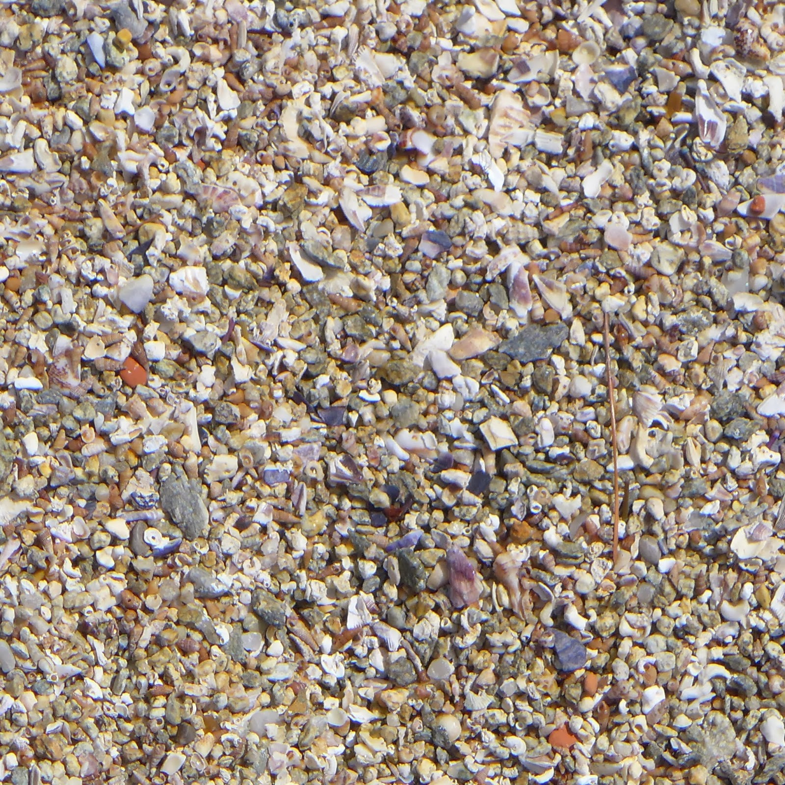 Textura de piedritas de mar | Todas las texturas