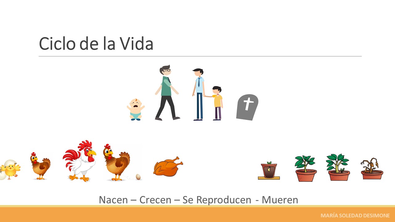 Cultura y TIC: PRIMARIA - CIENCIAS BIOLÓGICAS 4TO GRADO - 01 SERES ...