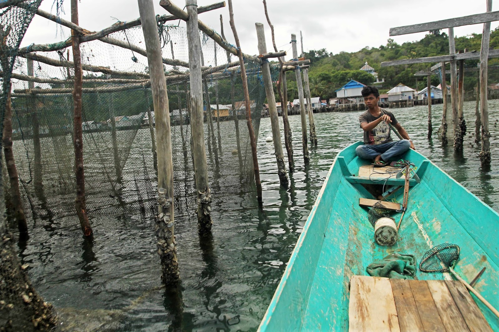 Asal Usul Suku Bajo Dicari Dengan Tes DNA