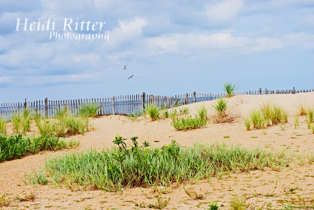 Heidi Ritter Photography