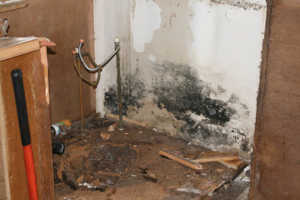 How to make the house damp proofing in rainy Season?