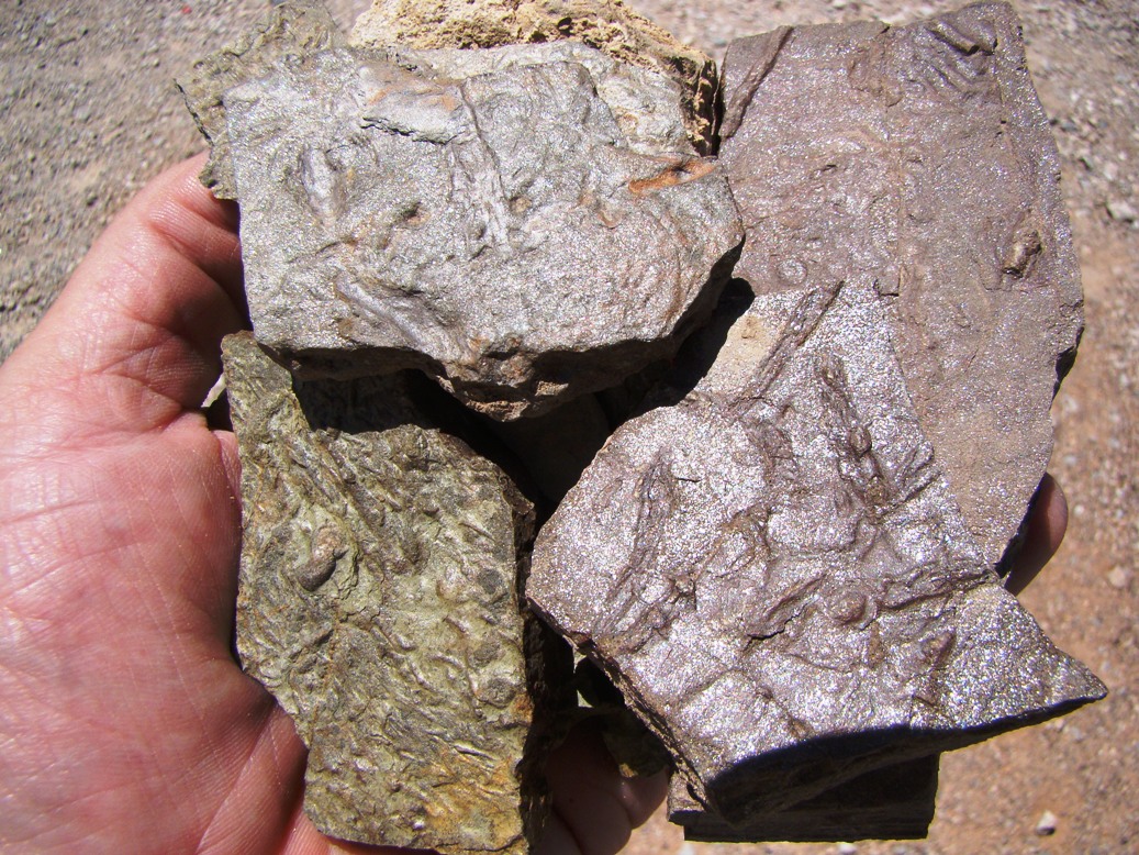 Geotripper: Out in America's Never Never: Exploring the Grand Canyon ...