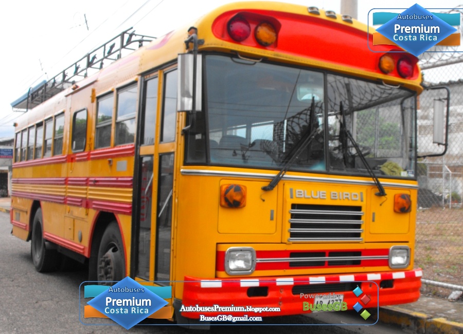 Autobuses Premium Costa Rica: Autobuses Premium Costa Rica: Blue Bird ...