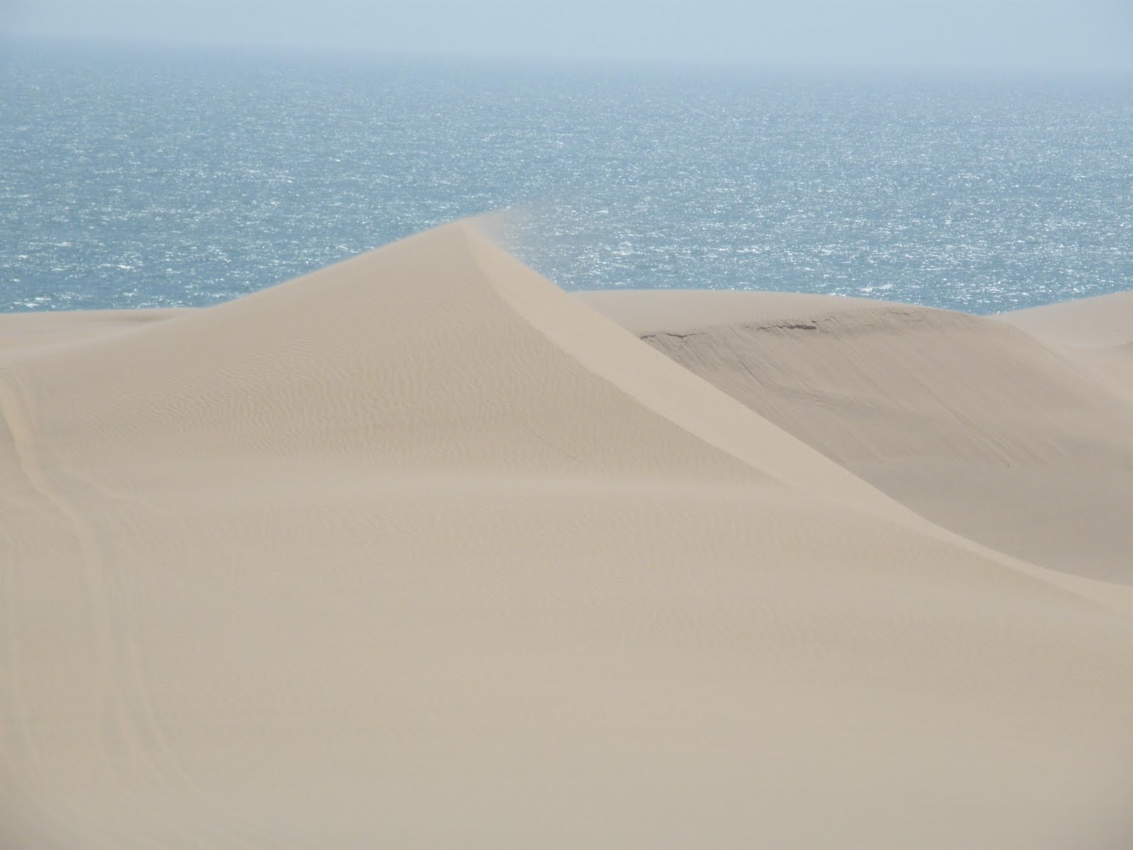 Namibie: Entre mer et desert a Walvis Bay