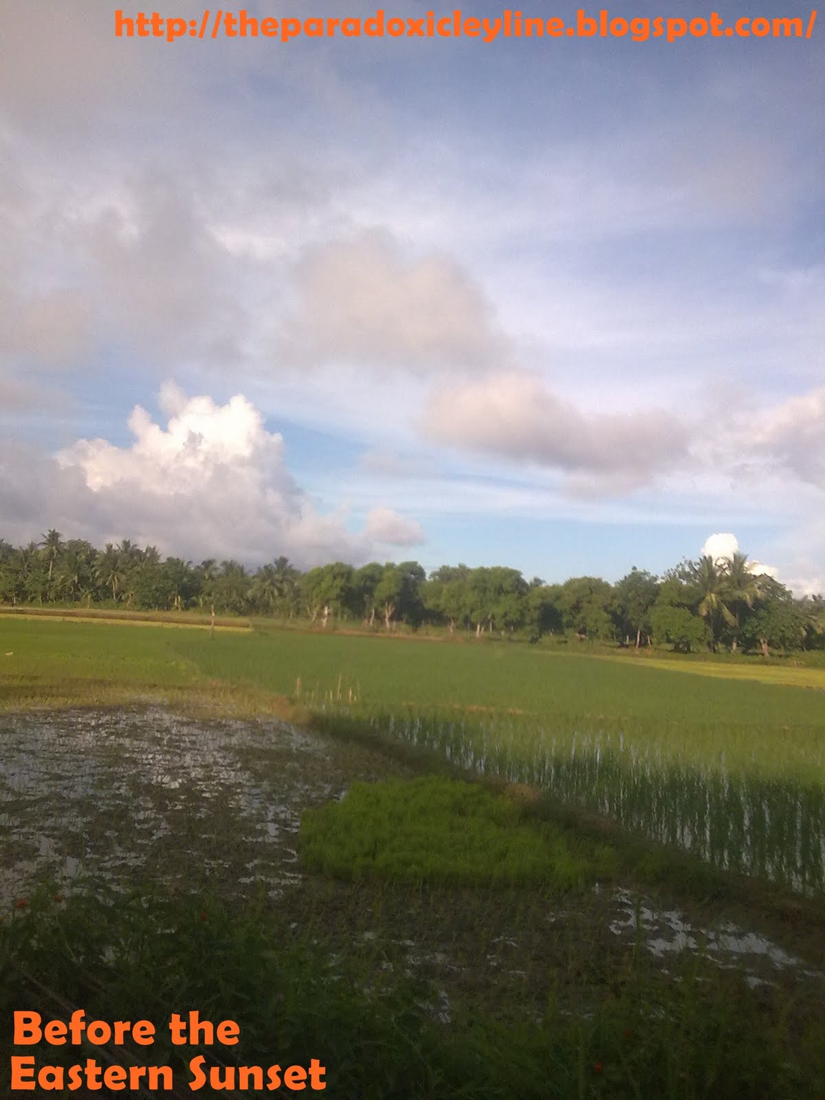 Wandering Around Camarines |Filipino Sojourner