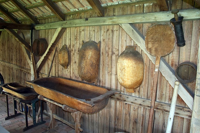 Mi Vida en la Matrix: Las Ejecuciones más Brutales de la Historia