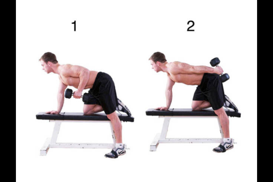 musculation: Bras exercice n: 40