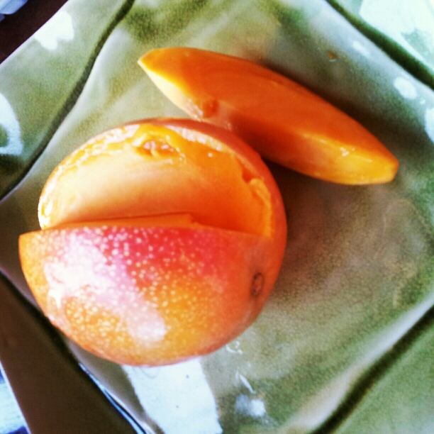 BAJA SUR BLOG - RIDE, RACE, LIVE BAJA SUR: Bleeding Orange!