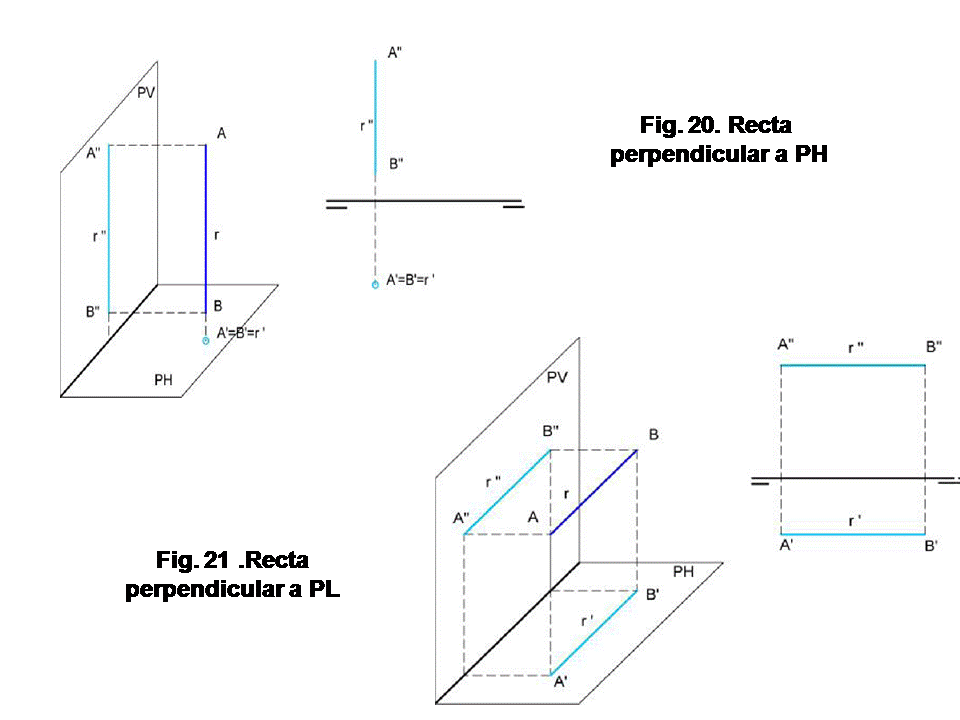 dibujo1unexpo: 1er Corte