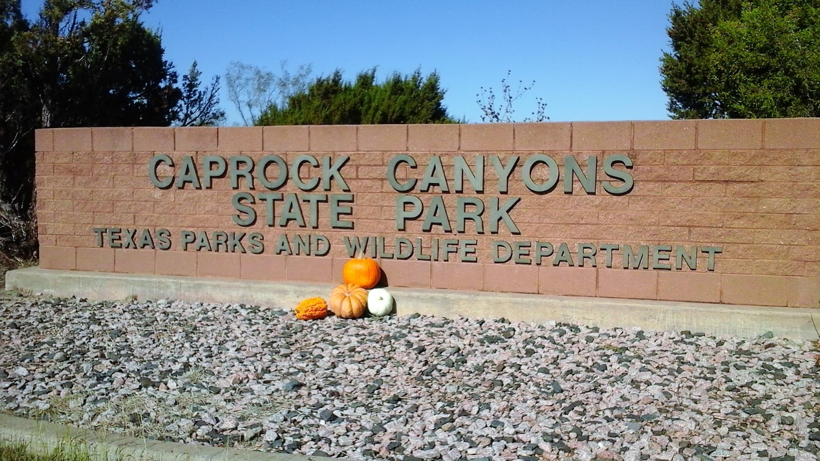 Roaming and Cleaning Up Texas Parks: Caprock Canyons State Park
