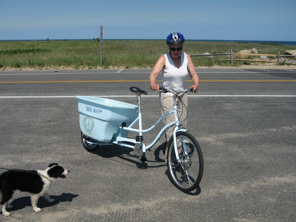 Family Bicycling: Experience Renting a 2010 Madsen kg271/Bucket Bicycle