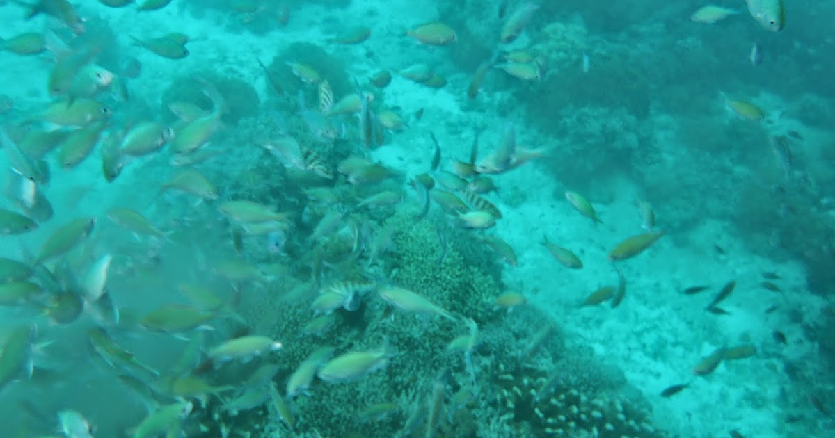 Boracay Activities - Island Hopping, Snorkeling, Parasailing and More