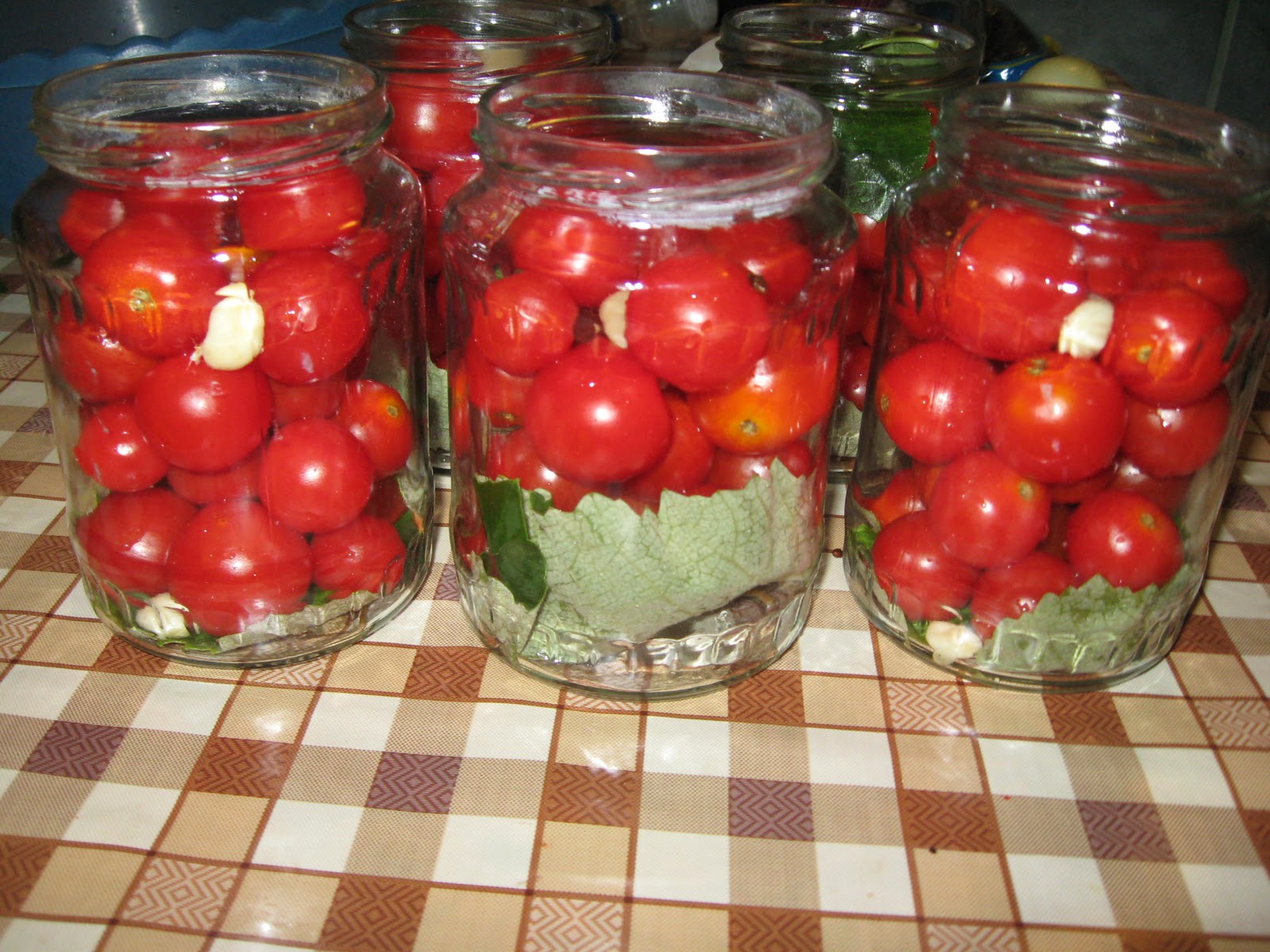 VULPEA COFETAR: ROSII MURATE