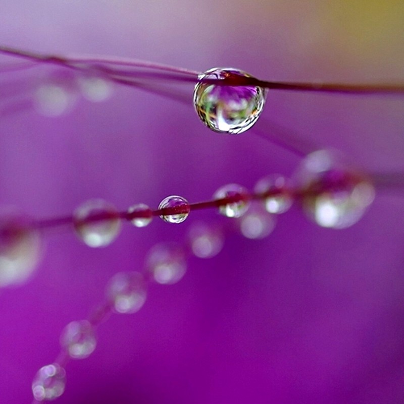 Best WallPapers: Colourful Raindrops Wallpapers