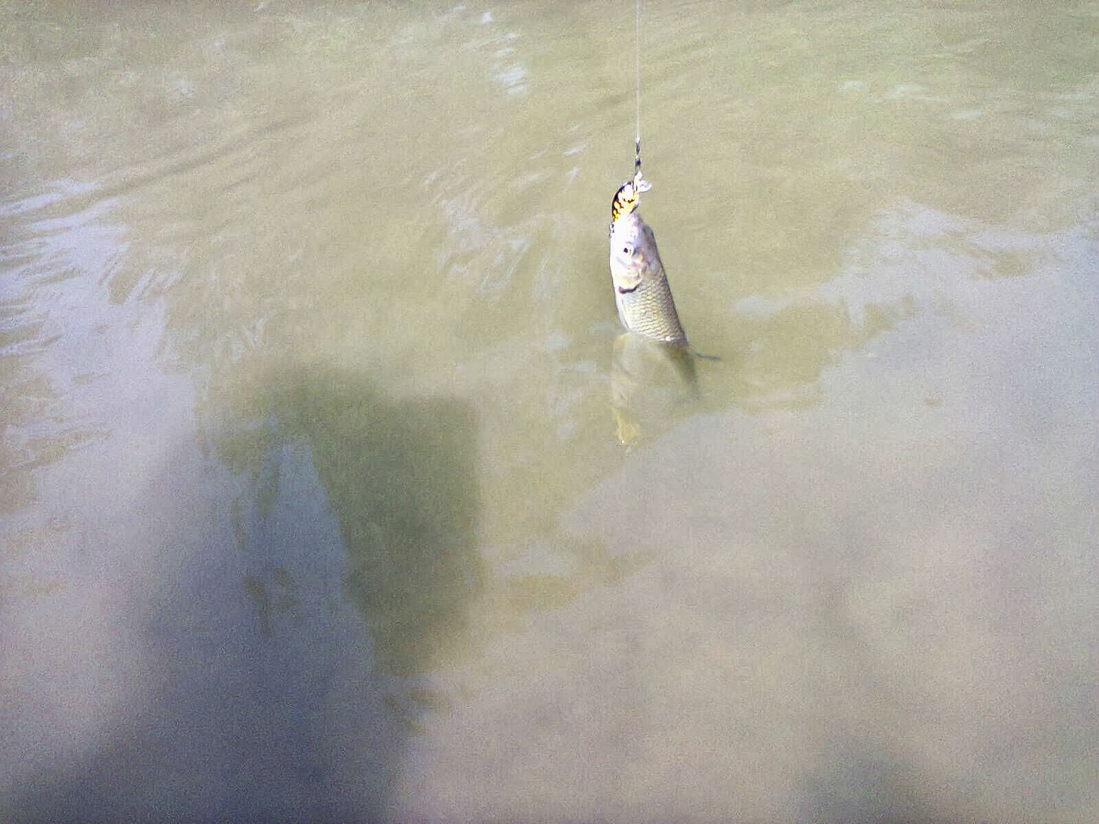 Pescuitul sportiv - mai presus de pasiune