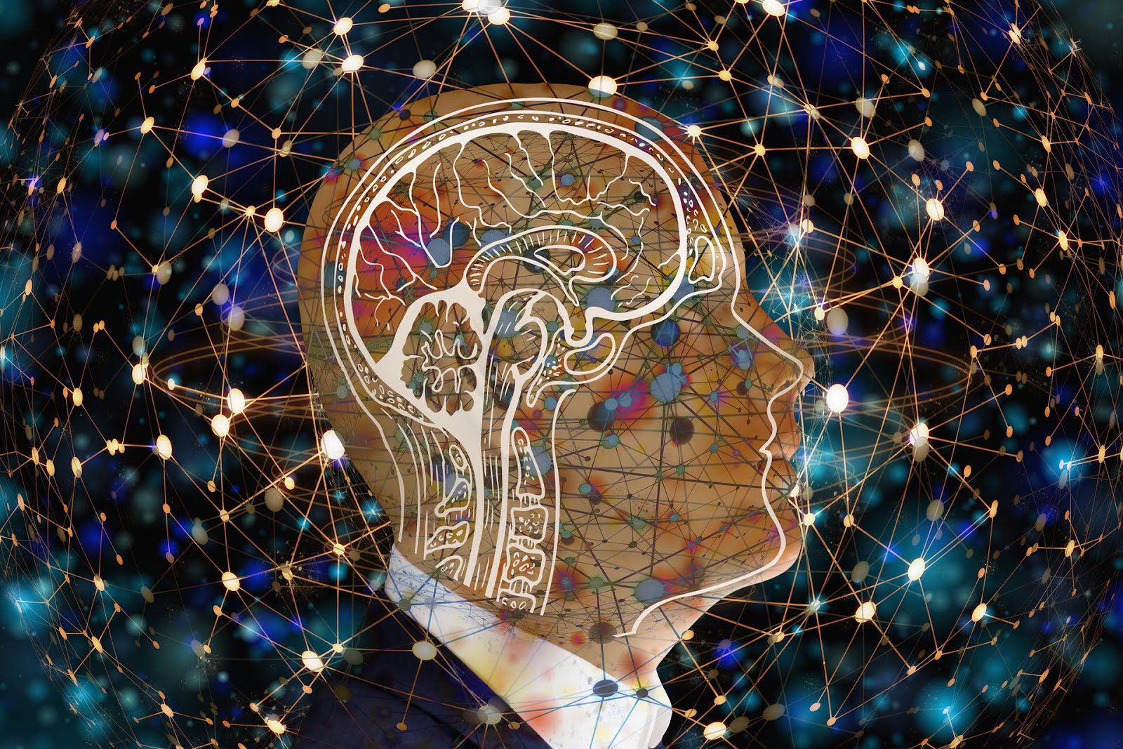 Bilim Kültür ve Sanat Dergisi | Dergi Baykuş