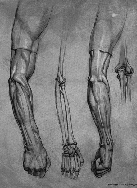 Echo Shi Art: drawing for animation