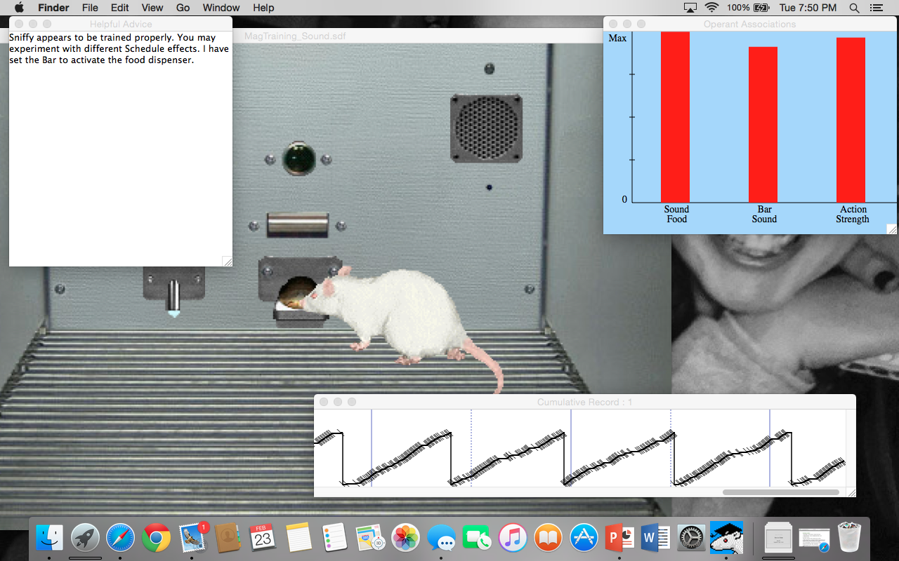 Learning and Behavior 2016: Sniffy the Virtual Rat