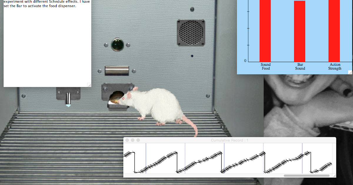 Learning and Behavior 2016: Sniffy the Virtual Rat