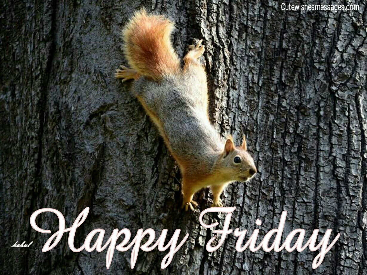 CUTE FRIDAY MESSAGES - CUTE, WISHES, IMAGES, Quotes, Love, Messages ...