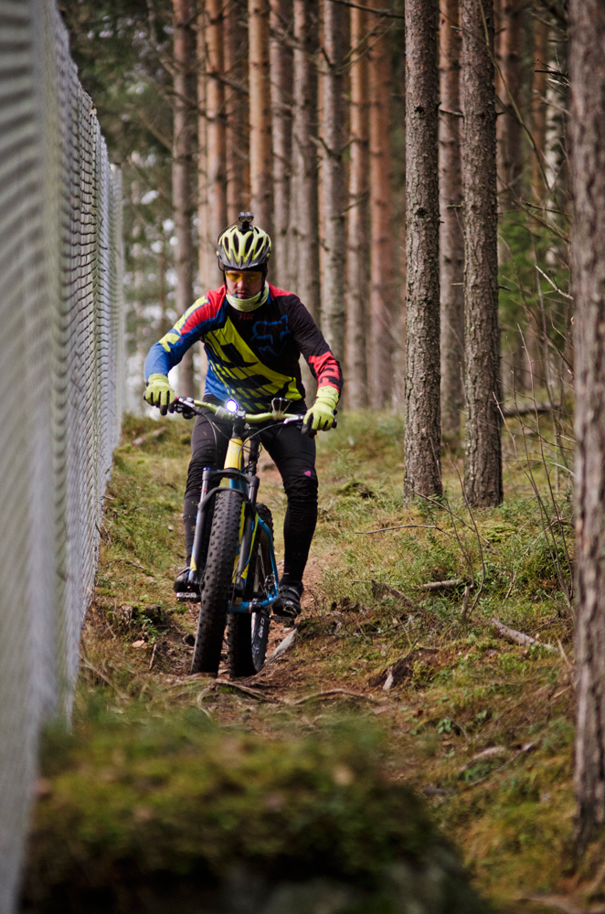 Hemmon Kuvat & Fillarihemmo: Felt DD10 2017