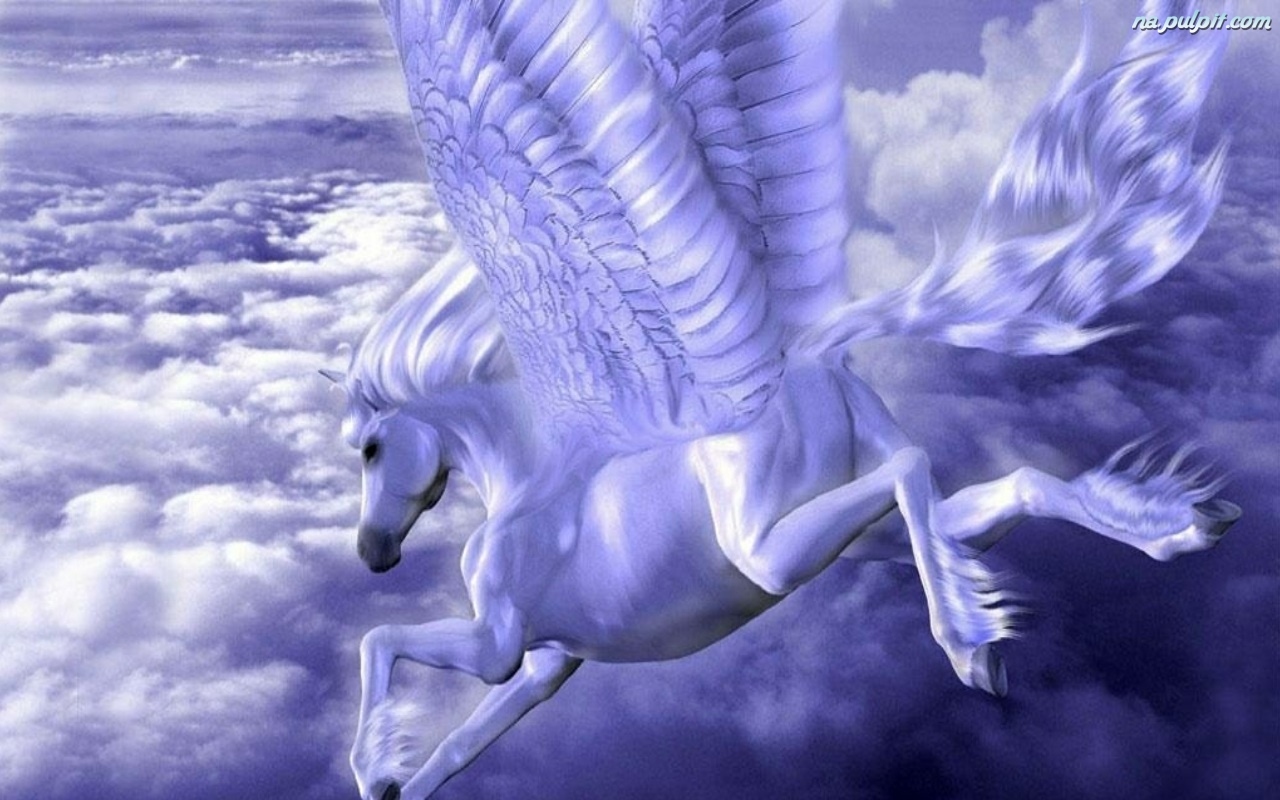 jednorożce i pegazy żywiołów