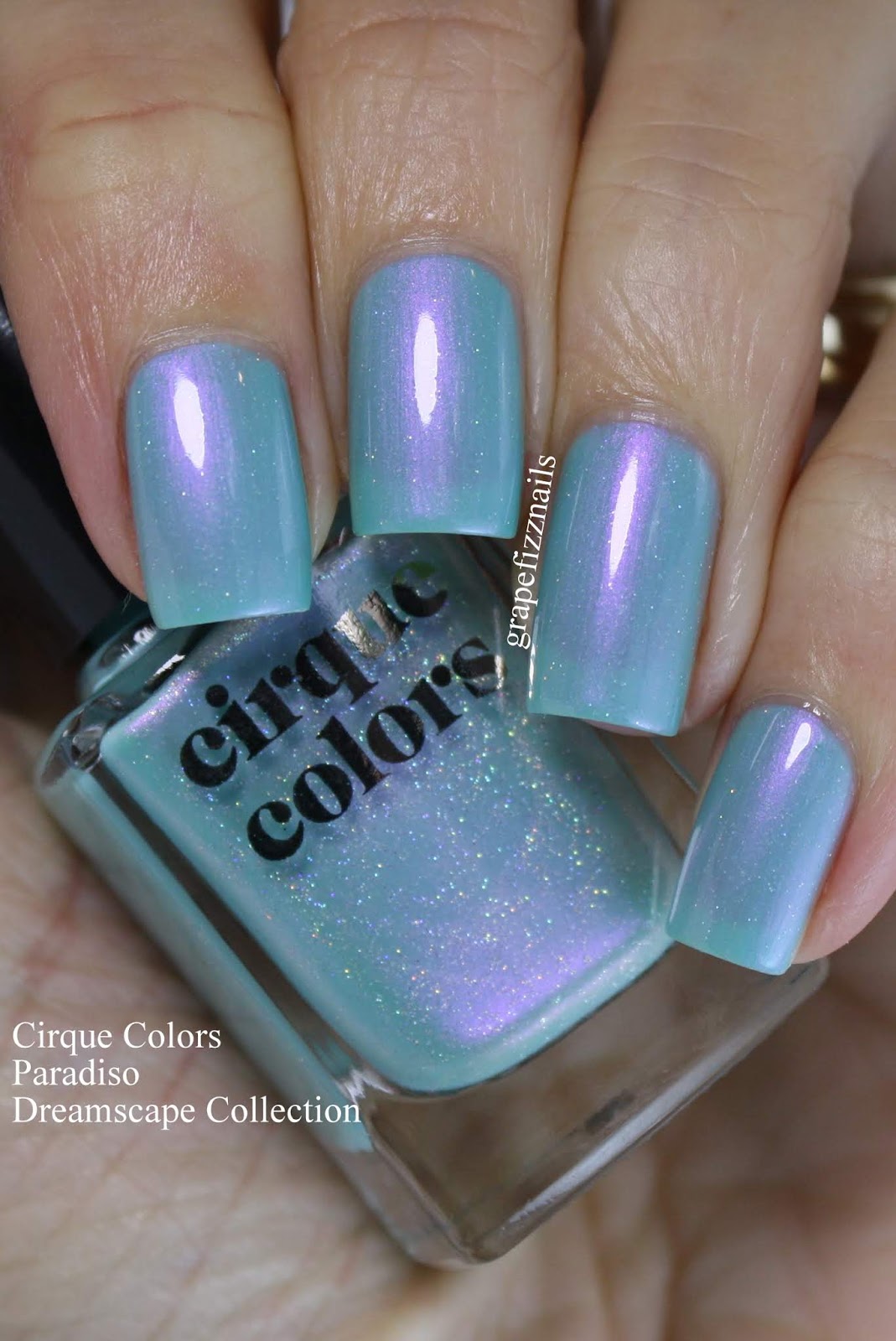 Grape Fizz Nails: Cirque Colors Dreamscape Collection, Swatches and Review