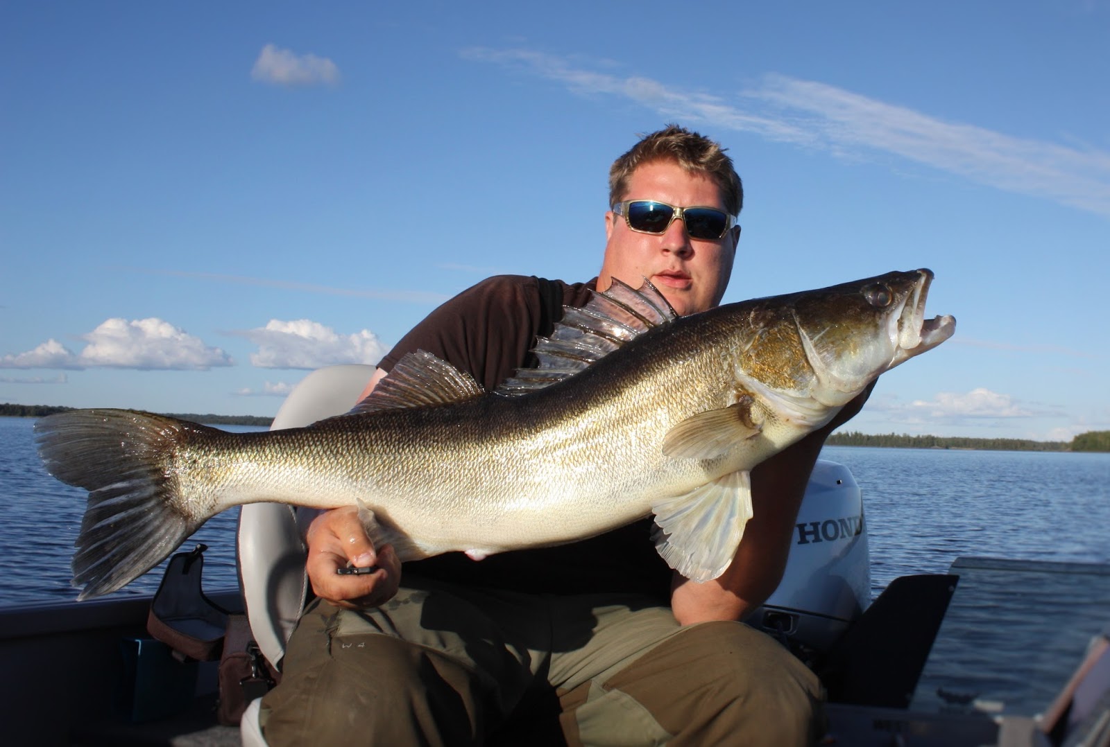 Frallans Fiske Blogg: Lång gös!