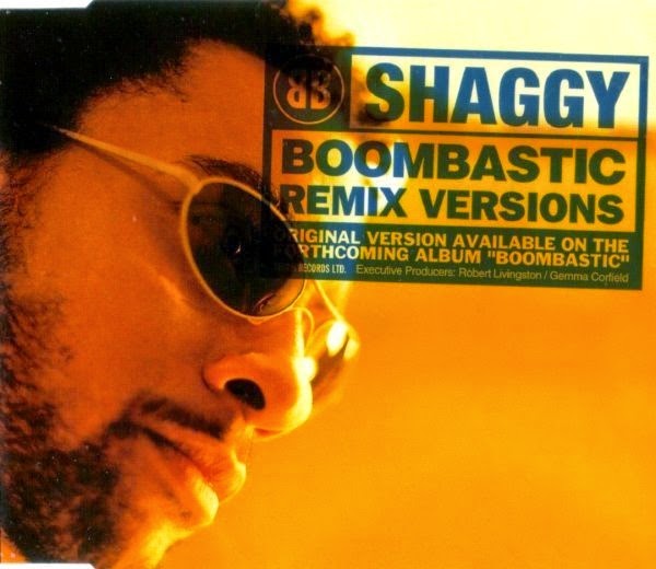 DISCOS PARA EL RECUERDO : SHAGGY