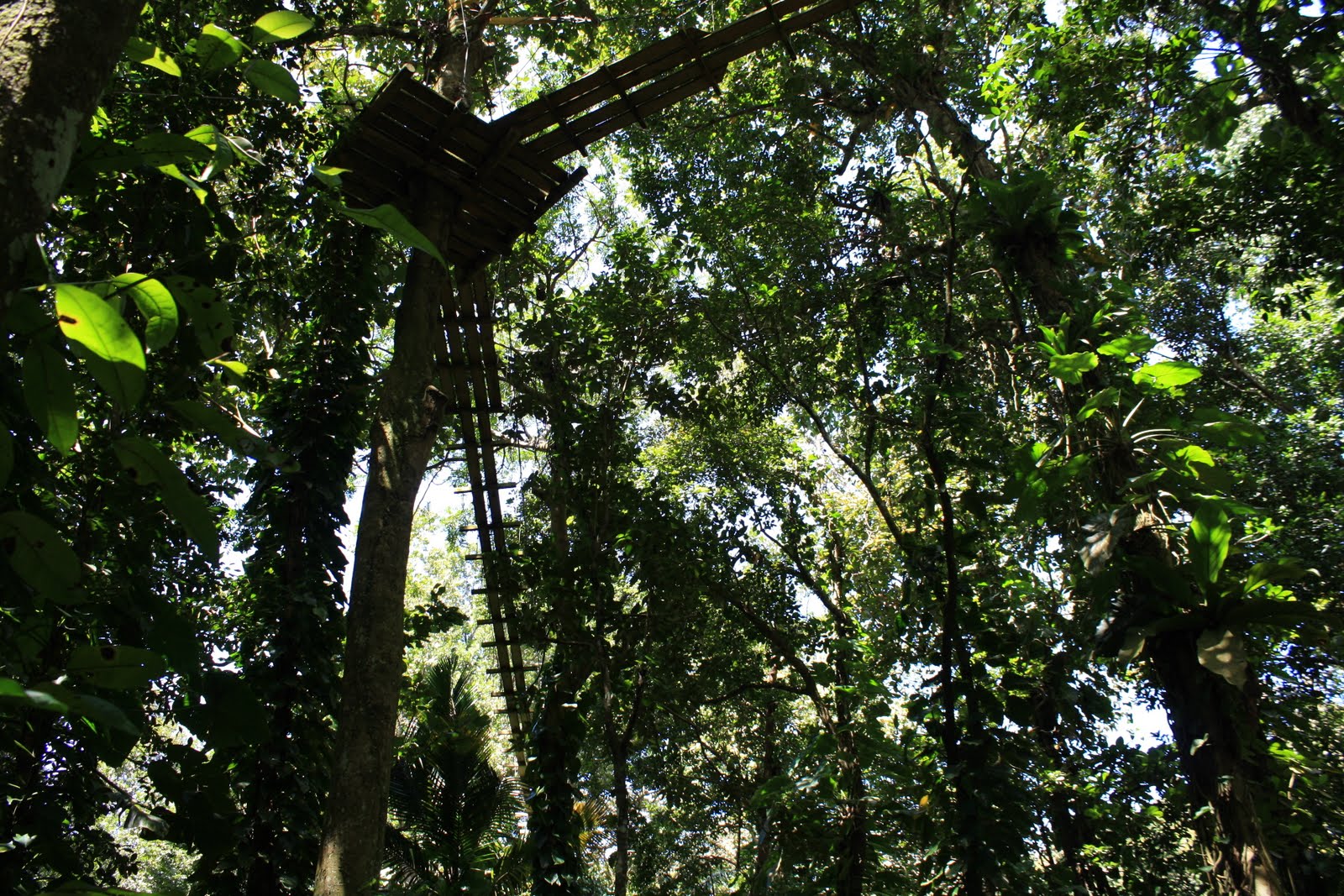En Guadeloupe Parc Des Mamelles