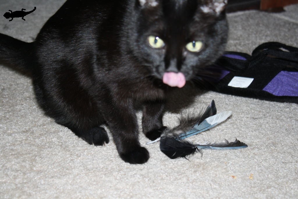 The Edigator News: octubre 2011