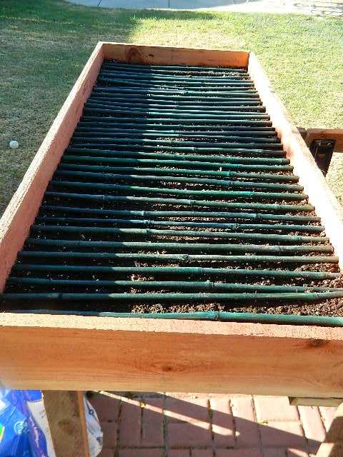 Pushing the Rose Envelope: Seedling tables