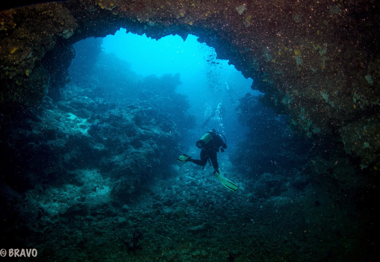Voyage of Bravo: Exploring the Great Astrolabe Reef.....something for ...