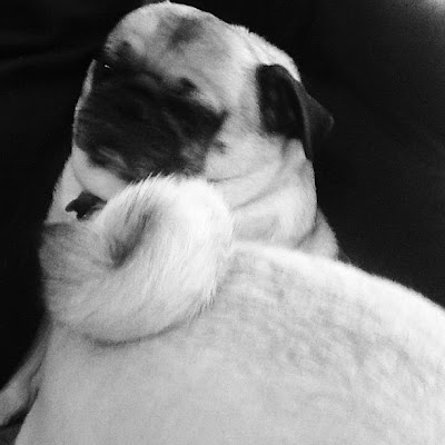 What Would Buddy Say?: Woosh