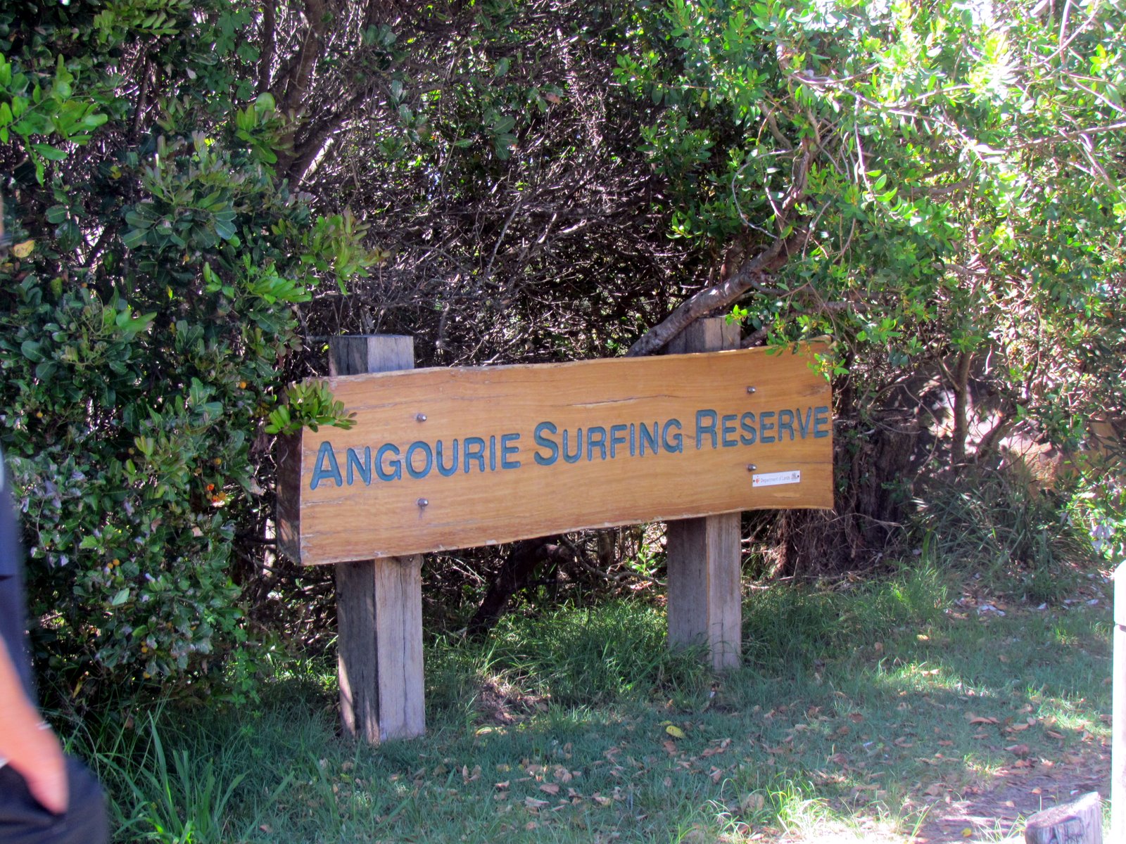 All Over Downunder: Angourie Point- Surfing Reserve