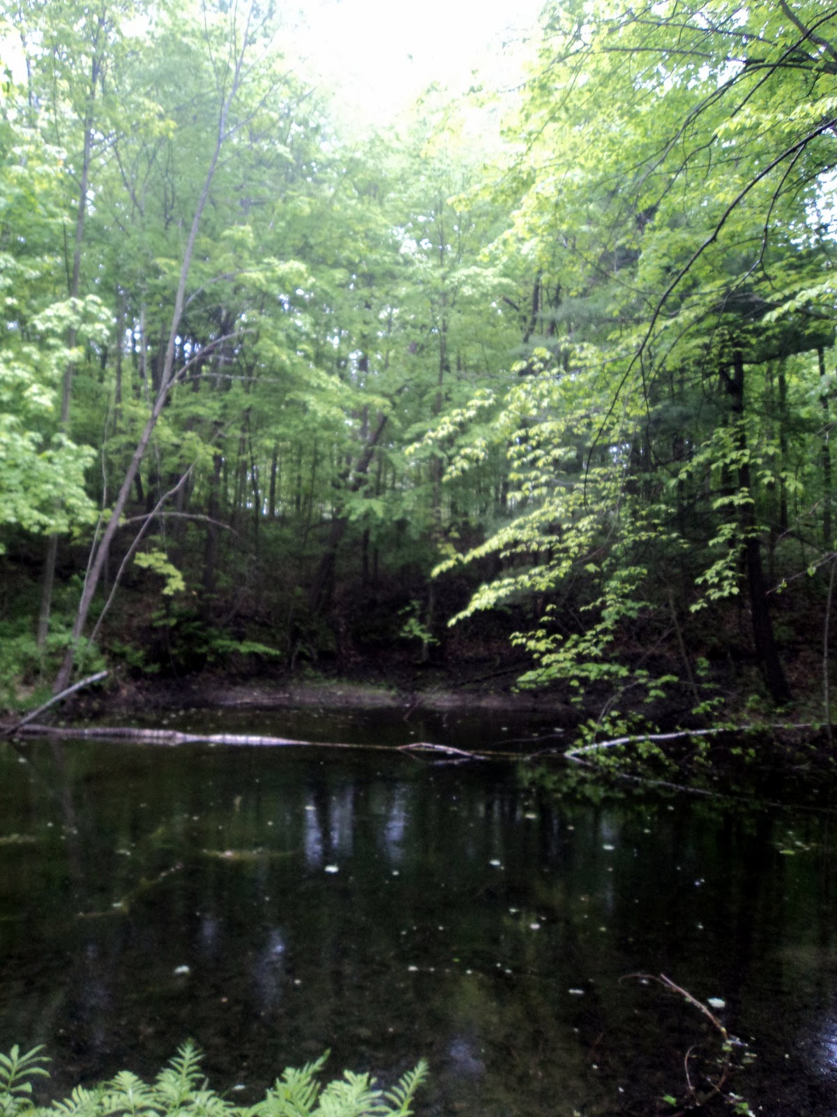 Three hundred Kilometers on the Oak Ridges Trail: Day 7 on the Oak ...