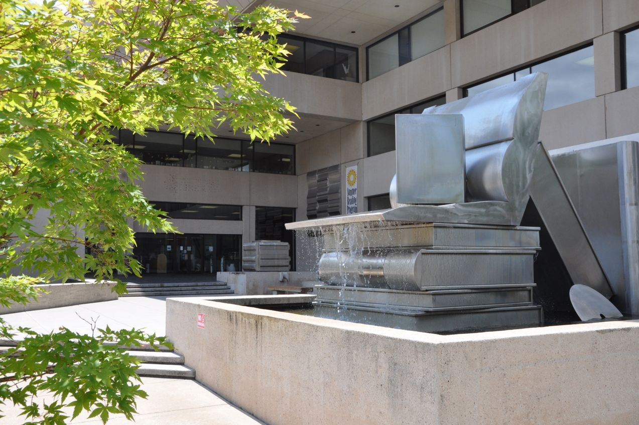 The Red Bank Roar: Chattanooga's Public Libraries by Maggie