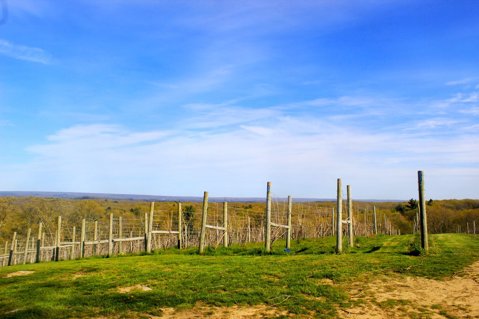 Intrinsic Beauty : Destination: Sharpe Hill Vineyard