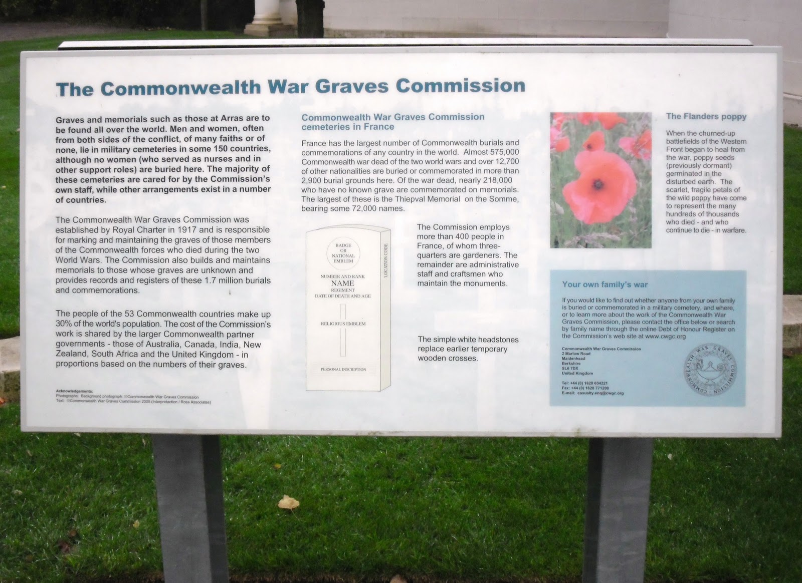 Notes from Kent's Hoo Peninsula: November 2011