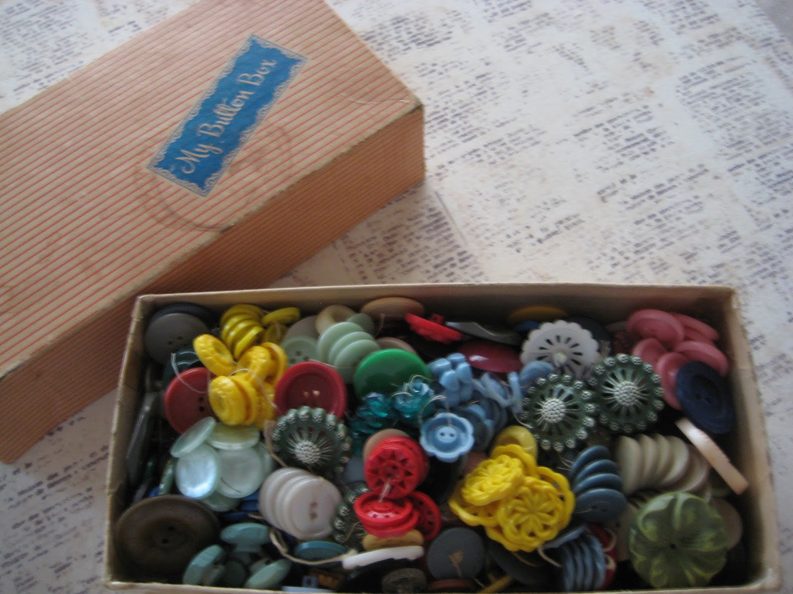 Bird Nest On The Ground: A VINTAGE BUTTON BOX